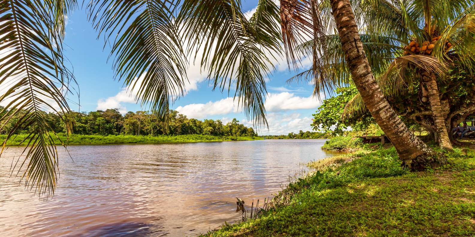 The BEST Suriname Tours and Things to Do in 2025 - FREE Cancellation ...