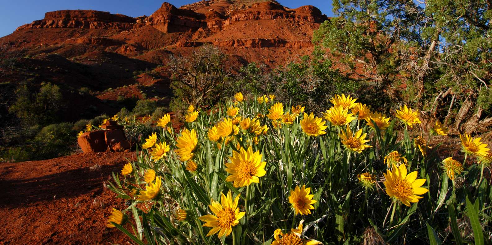 Castleton Tower, Utah, Utah - Book Tickets & Tours | GetYourGuide