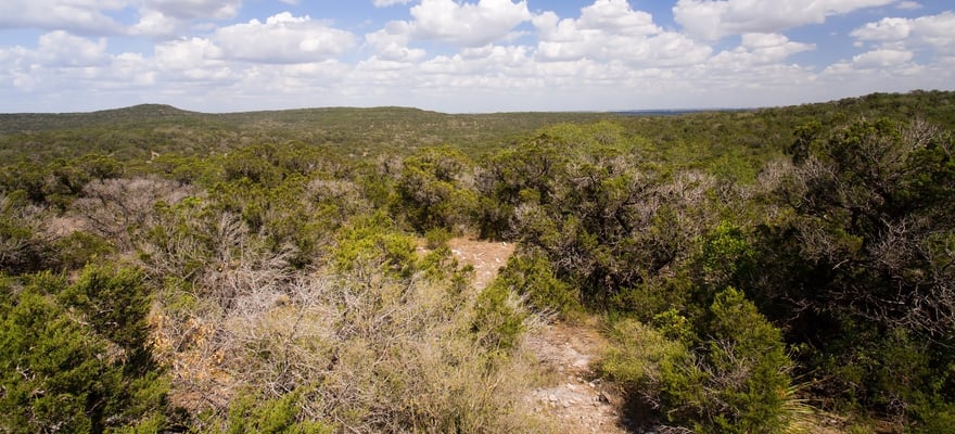 The BEST Texas Hill Country, Texas Tours and Things to Do in 2024 ...