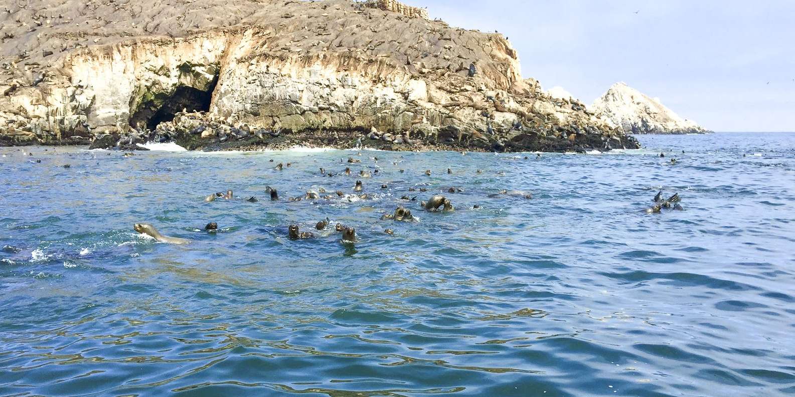 Bästa sevärdheterna och saker att göra i Stilla havet, USA 2023 ...