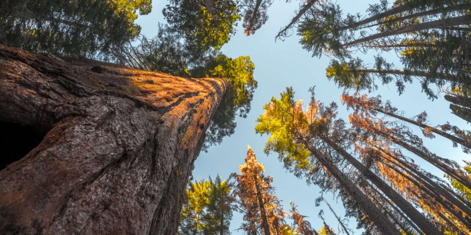 The BEST Sequoia & Kings Canyon National Parks Summer activities 2023 ...