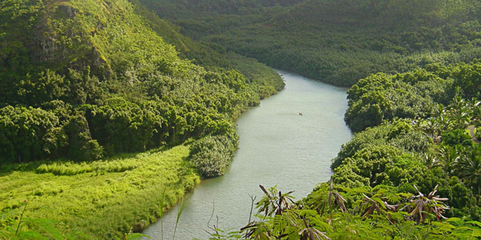 The BEST Wailua River State Park, Kauai Nature & adventure 2023 - FREE ...