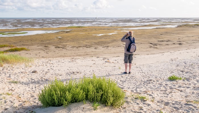 19. Wander around the Wadden Sea