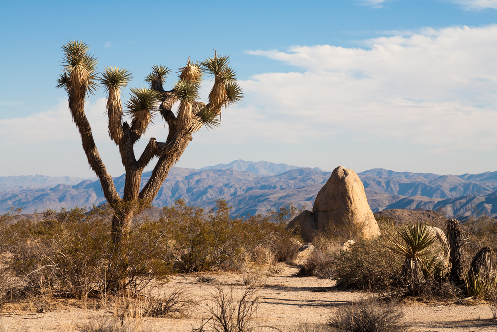 11 places you can't miss during a Californian road trip