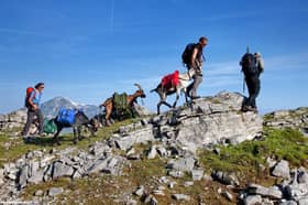 Capriola | GetYourGuide Supplier