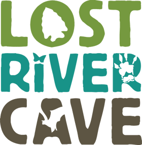 Lost River Cave | GetYourGuide-Anbieter