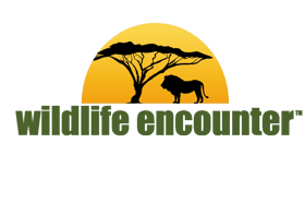 Wildlife Encounter | GetYourGuide Supplier