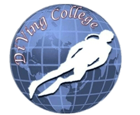 Be Diver Diving College | GetYourGuide Supplier