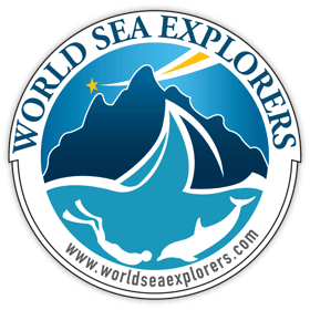 World Sea Explorers | GetYourGuide Supplier