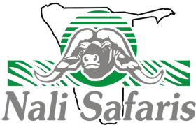 Nali Safaris Namibia | GetYourGuide Supplier