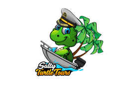 Salty Turtle Tours | GetYourGuide Supplier