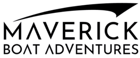 Maverick Boat Adventures | GetYourGuide Supplier