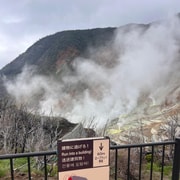 Tokyo: Hakone Fuji Day Tour w/ Cruise, Cable Car, Volcano | GetYourGuide