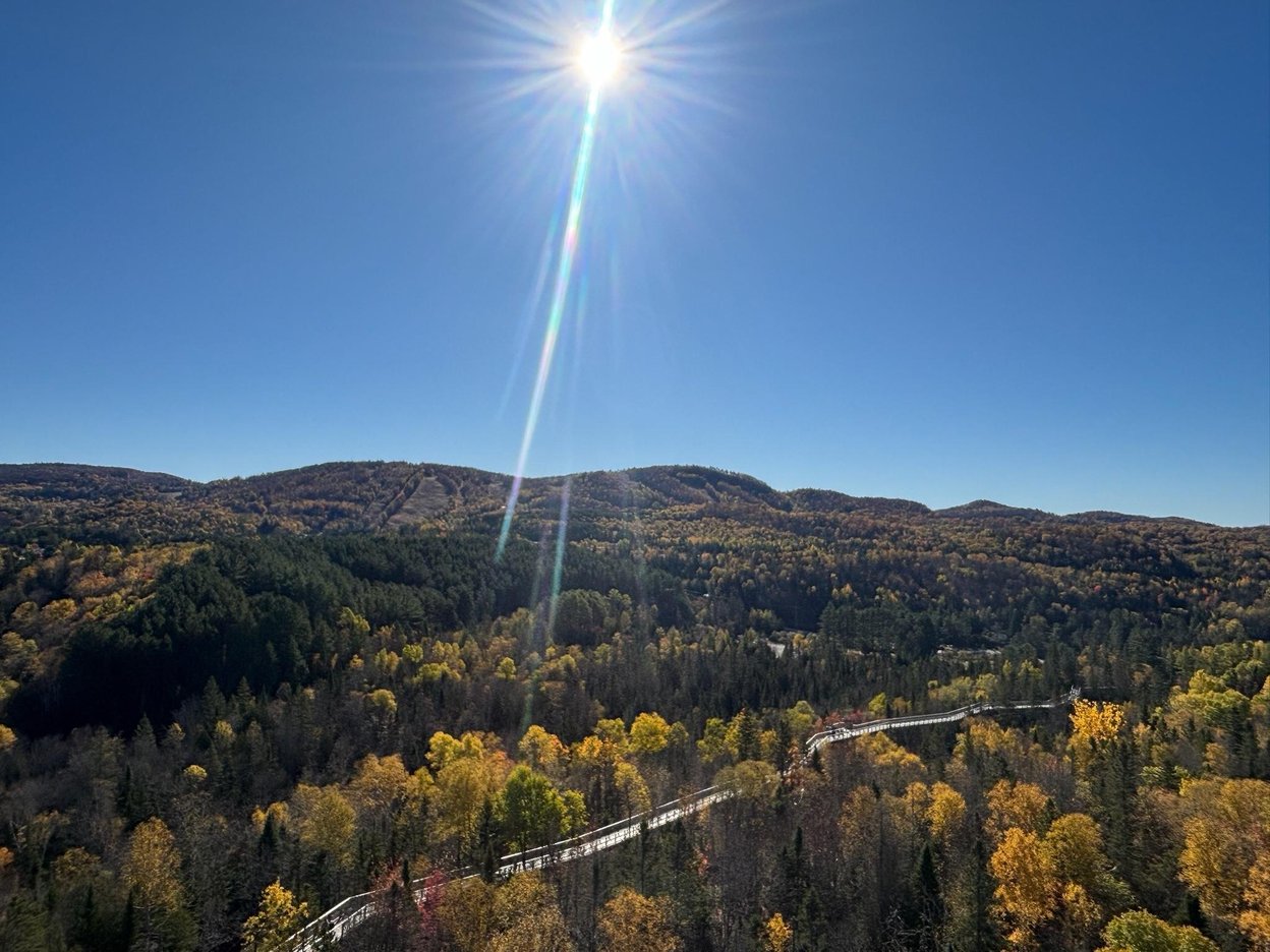 Treetop Walk, Easy Hiking Trail Laurentians | Mont-Tremblant Activity ...