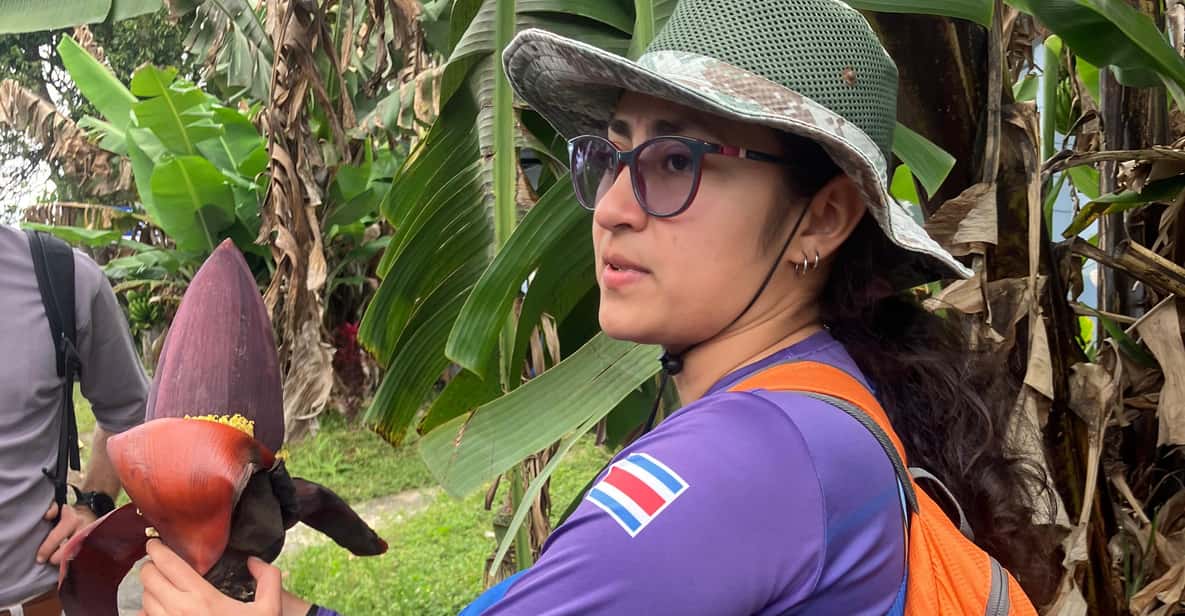 San Jose: Walking Nature Tour with Sloths, Birds, and Trees | GetYourGuide