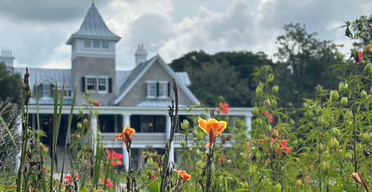 Charleston: Magnolia Plantation Entry & Tour with Transport | GetYourGuide