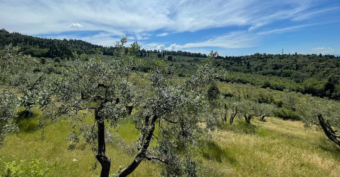 Florencja: Toskania – wycieczka e-rowerem z przewodnikiem i lunchem ...