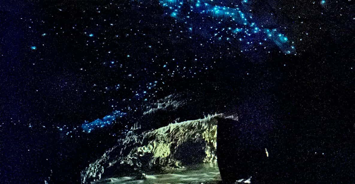 Auckland: Waitomo Glowworm Caves Explorer Small Group Tour | GetYourGuide