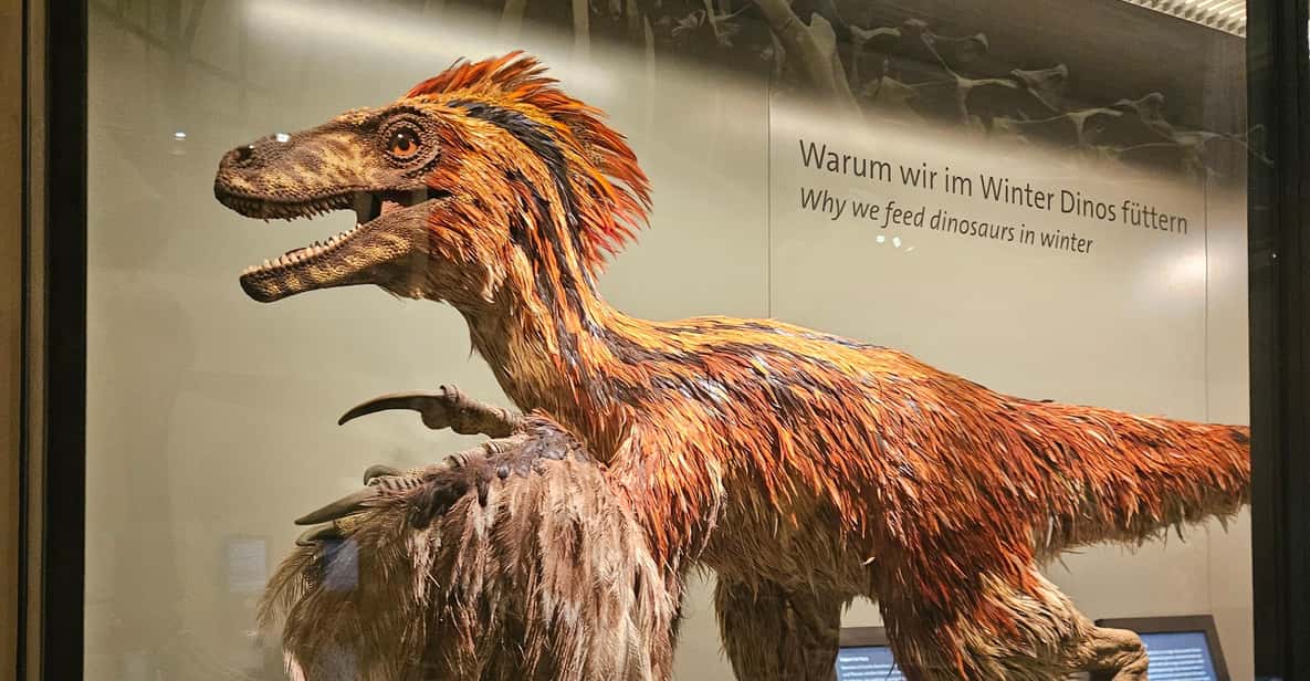 Vienna: Ticket to the Museum of Natural History | GetYourGuide