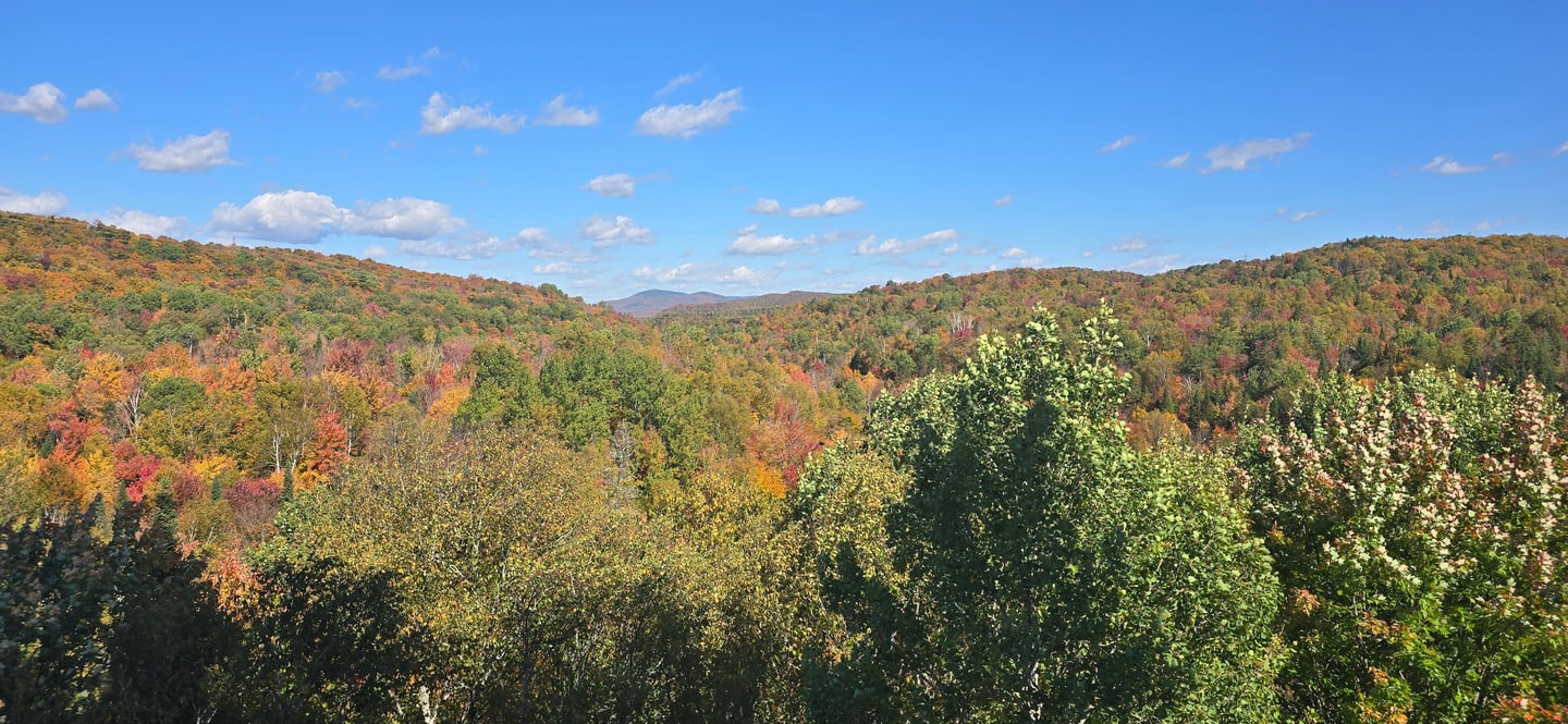 Treetop Walk, Easy Hiking Trail Laurentians | Mont-Tremblant Activity ...