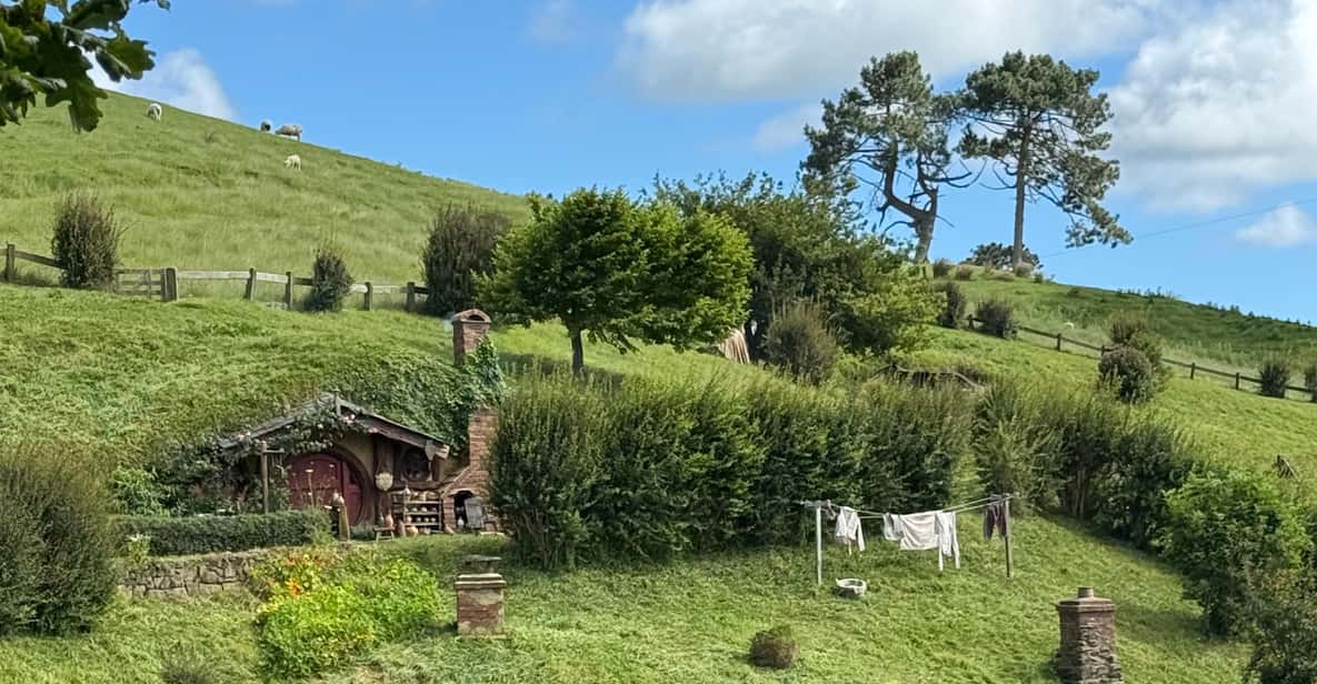Auckland: Hobbiton and Rotorua Day Tour including Te Puia | GetYourGuide