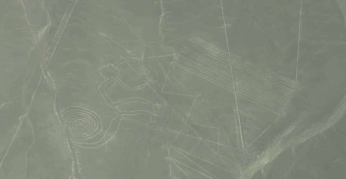 From Lima: Nazca Lines and Ica Desert Day Trip | GetYourGuide