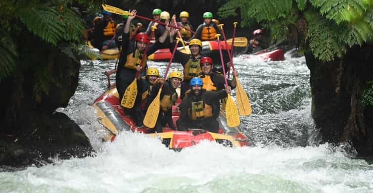 Kaituna River and Tutea Falls Whitewater Rafting | GetYourGuide