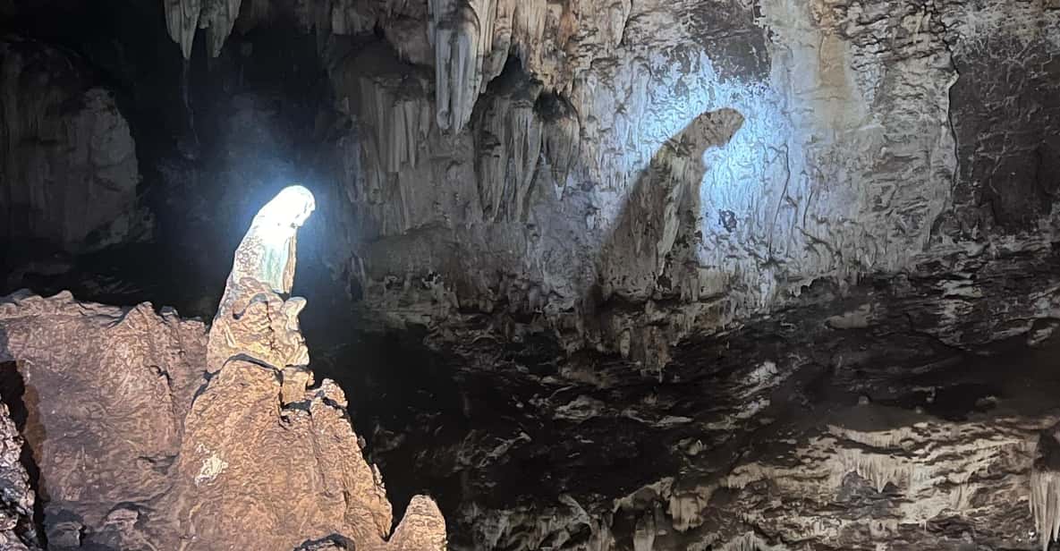 From Johannesburg: Rhino & Lion Safari and Wonder Cave Tour | GetYourGuide