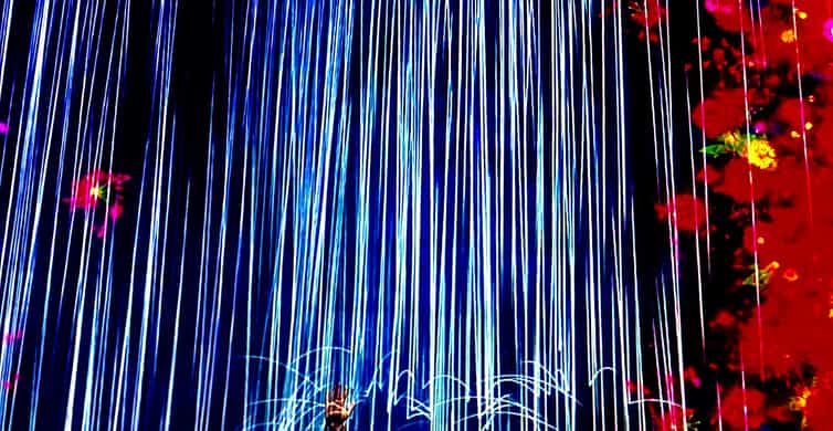 Miami: 'Superblue Miami' Immersive Art Experience Ticket | GetYourGuide