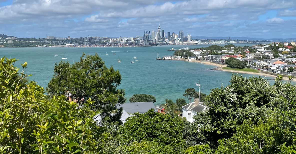 Auckland: Guided Small Group City Discovery Tour - 2026 (Verified Reviews)