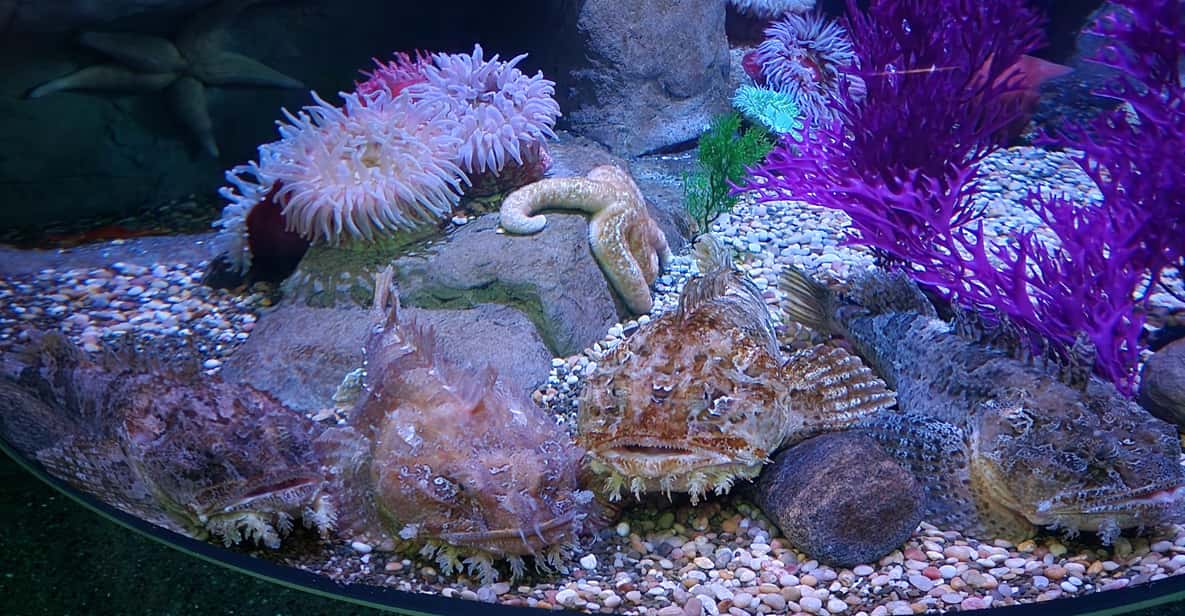 Toronto: Ripley's Aquarium of Canada Entry Ticket | GetYourGuide