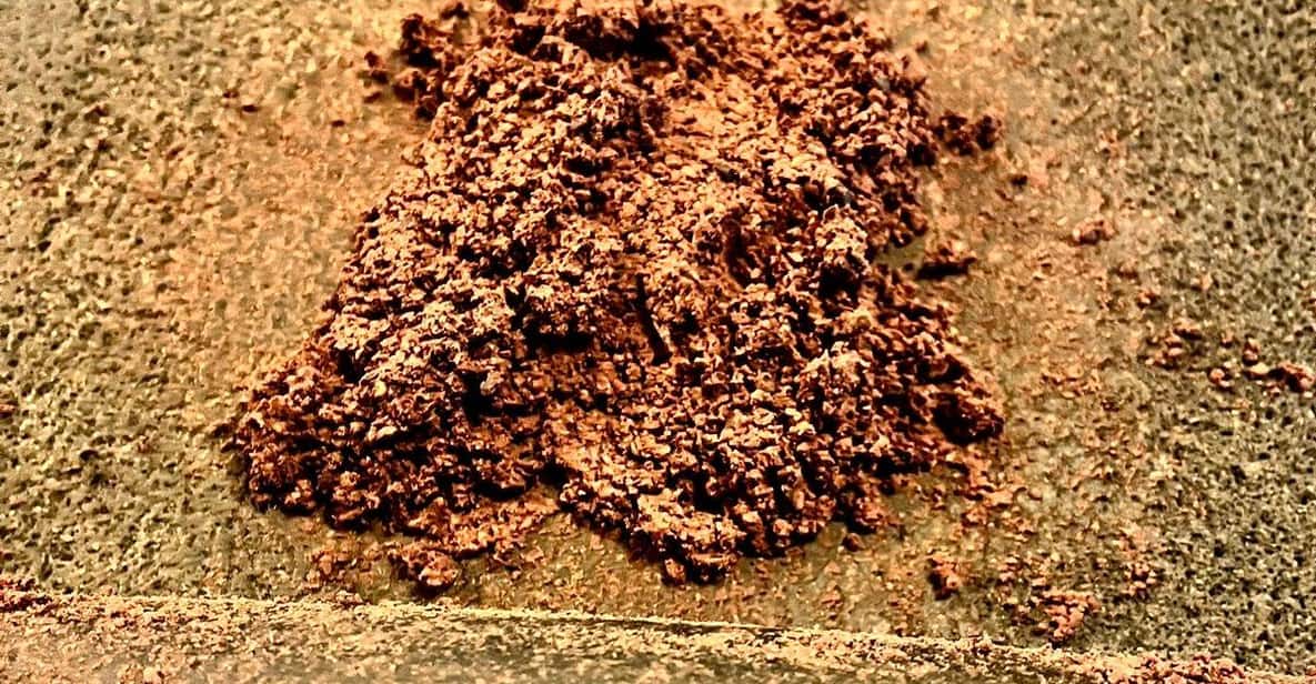 Cozumel: Schokoladen-Workshop bei der Mayan Cacao Company – 2026 ...