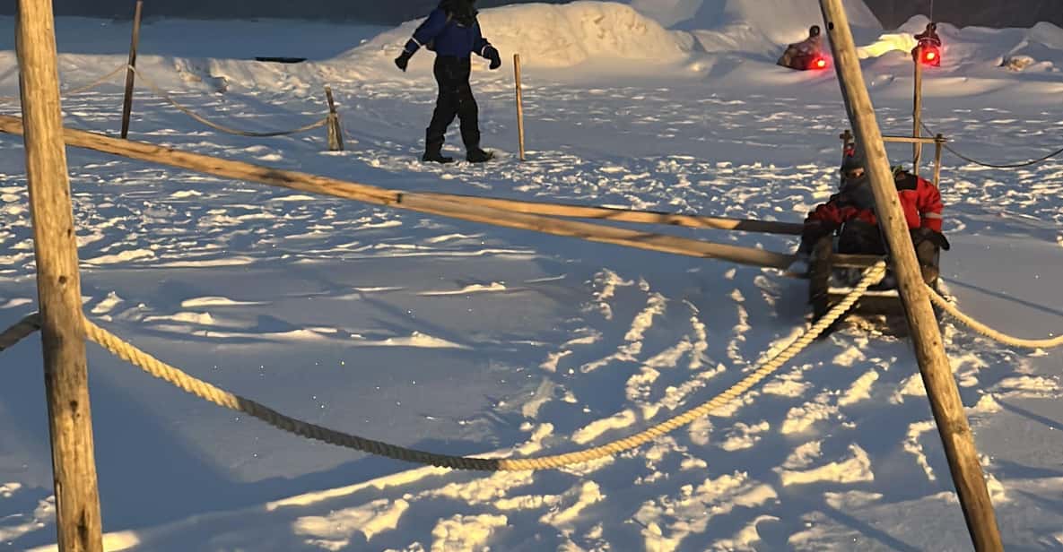 Sjov i sneen med huskier, rensdyr, miniscutere og frokost | GetYourGuide