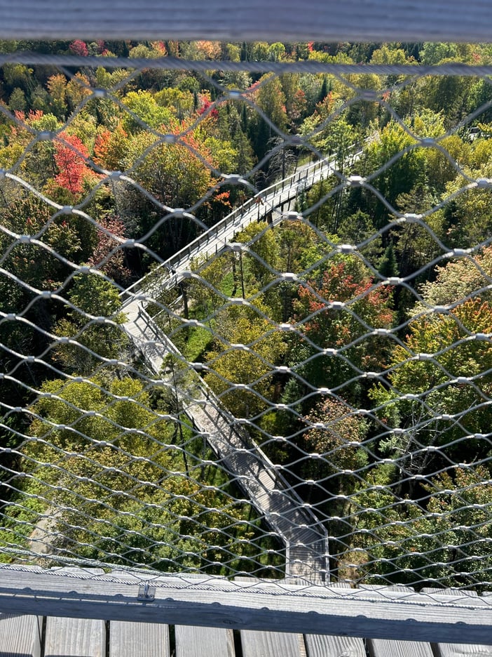 Treetop Walk, Easy Hiking Trail Laurentians | Mont-Tremblant Activity ...