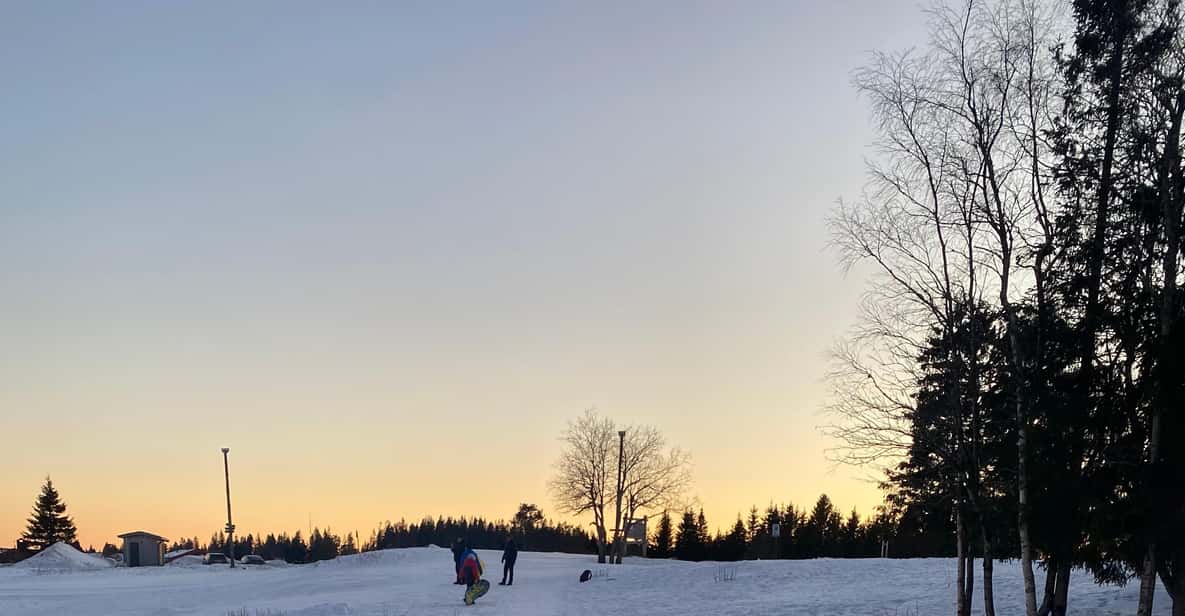 Oslo: Snowy Forest Torchlight Walk with Campfire | GetYourGuide