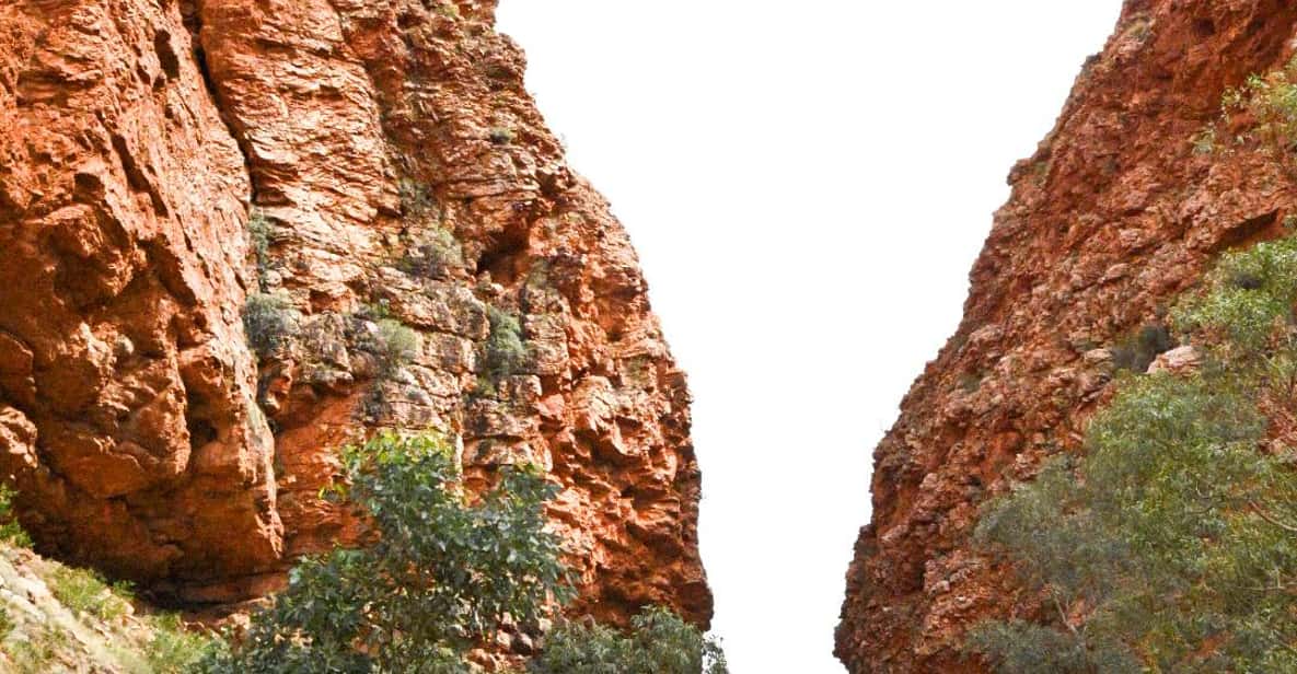 From Alice Springs: West MacDonnell Ranges Day Trip | GetYourGuide