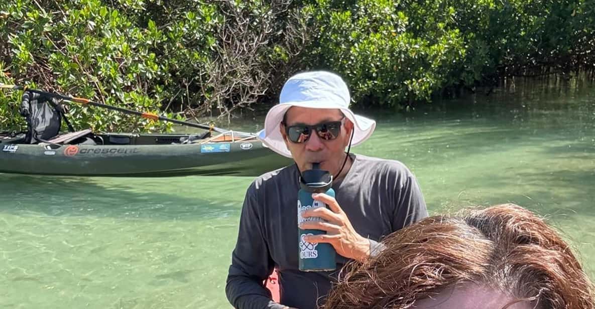 Siesta Key: Mangrove Kayak or Paddleboard Tour | GetYourGuide