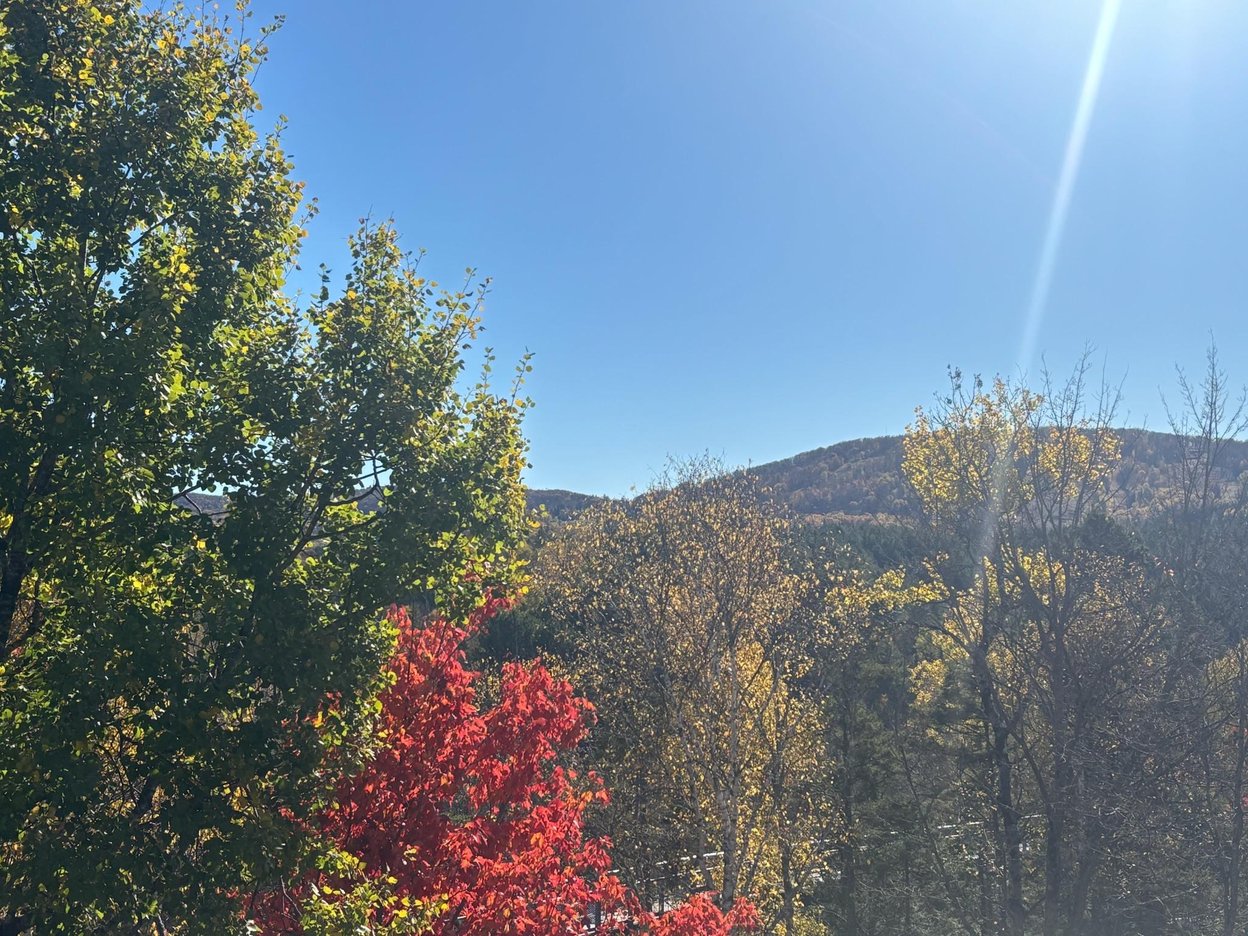 Treetop Walk, Easy Hiking Trail Laurentians | Mont-Tremblant Activity ...