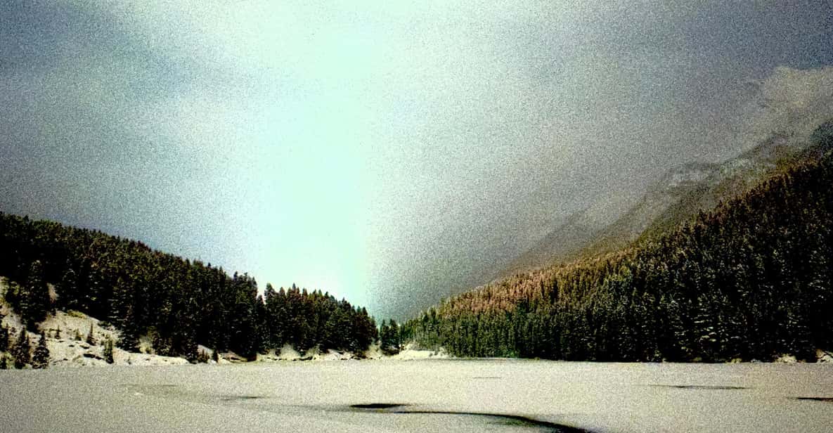 Banff/Canmore: NIGHT ADVENTURE with possible STARGAZING tour | GetYourGuide