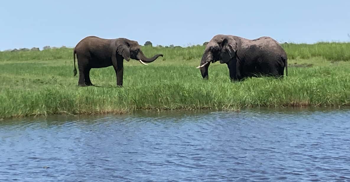 Chobe National Park Small Group Day Safari from Vic Falls - 2026 ...