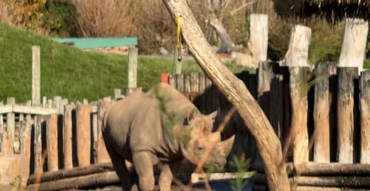 Chester: Chester Zoo Entry Ticket | GetYourGuide
