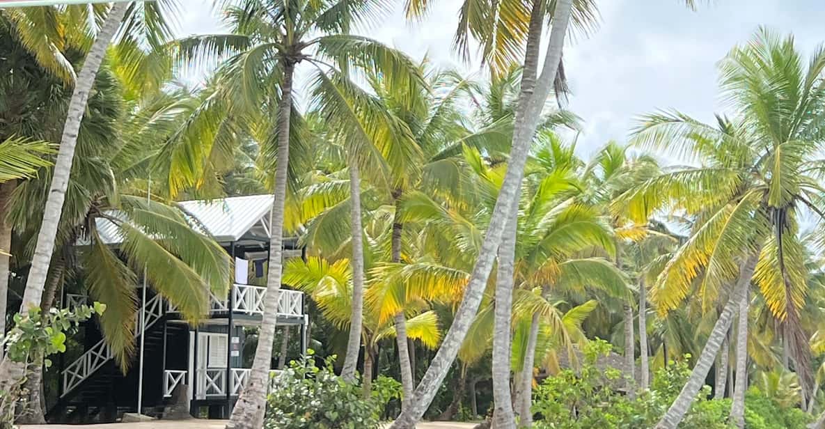 Saona Island: Tour of the 4 beaches with Canto de la Playa | GetYourGuide