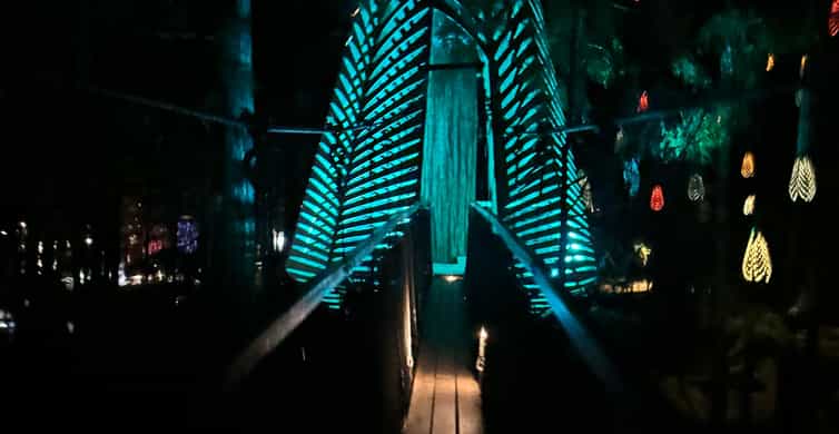 Rotorua: Redwoods Altitude, Nighttime Fast Pass, & Treewalk | GetYourGuide