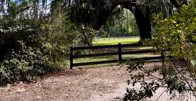 Charleston: Magnolia Plantation Entry & Tour with Transport | GetYourGuide
