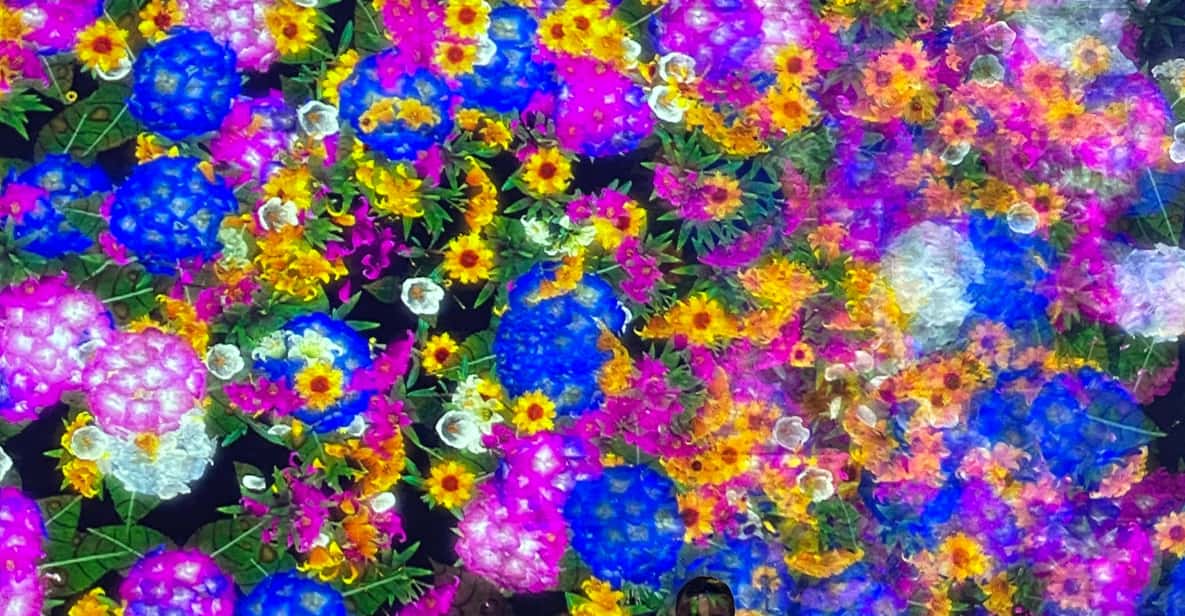 Miami: 'Superblue Miami' Immersive Art Experience Ticket | GetYourGuide