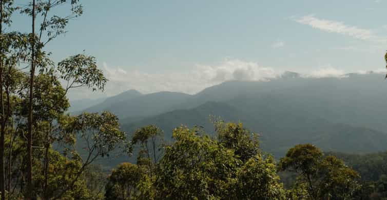 From Cairns: Atherton Tableland Wilderness Tour with Lunch | GetYourGuide