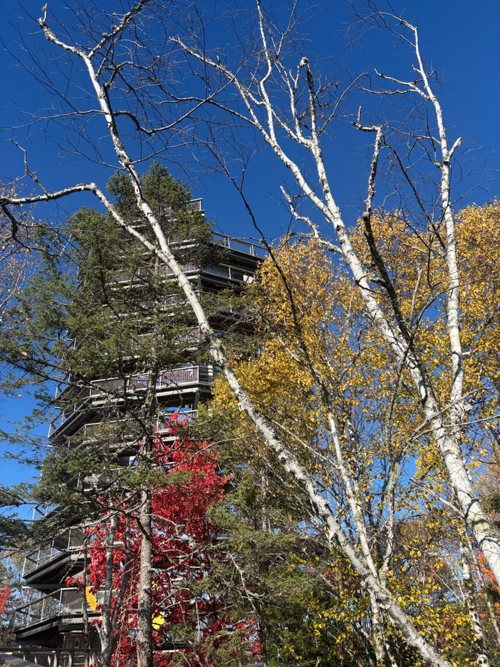 Treetop Walk, Easy Hiking Trail Laurentians | Mont-Tremblant Activity ...