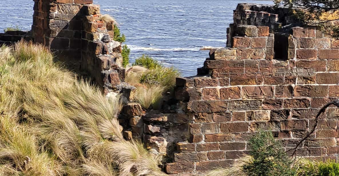 Strahan: Gordon River Cruise with Lunch & Sarah Island Walk | GetYourGuide