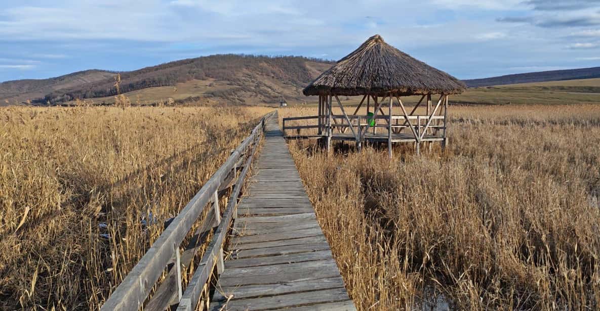 Transilvânia escondida: Castelo de Bánffy, Armenopolis e Delta Tour ...