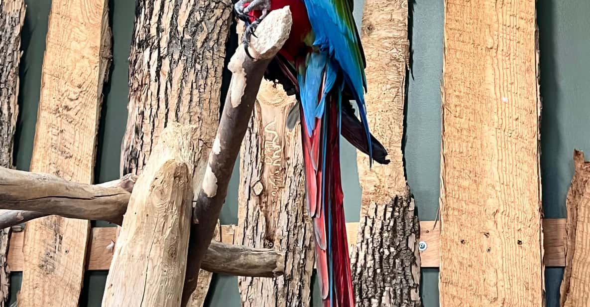 Niagara Falls, Canada: Bird Kingdom Entry Ticket | GetYourGuide